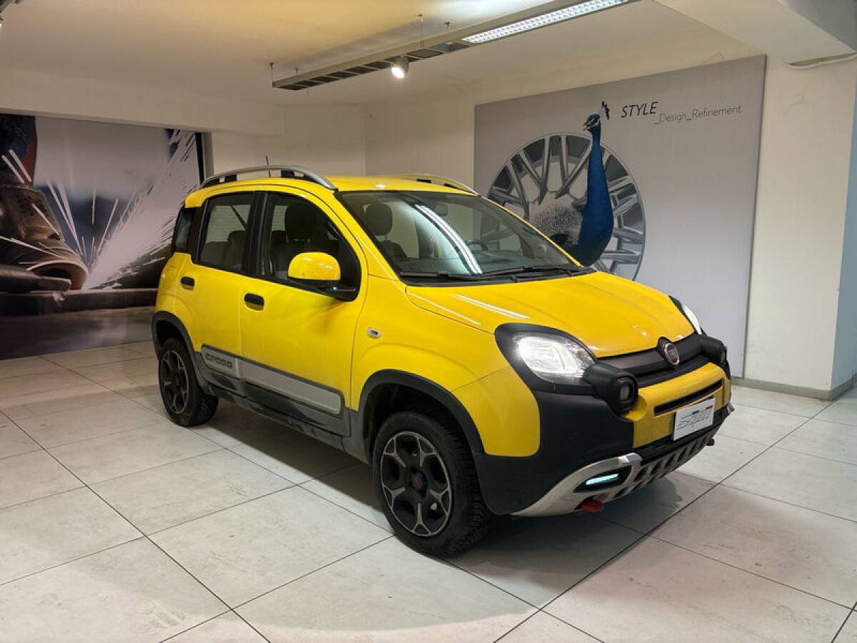 FIAT Panda Cross Usata prezzo e caratteristiche tecniche - Auto Usate