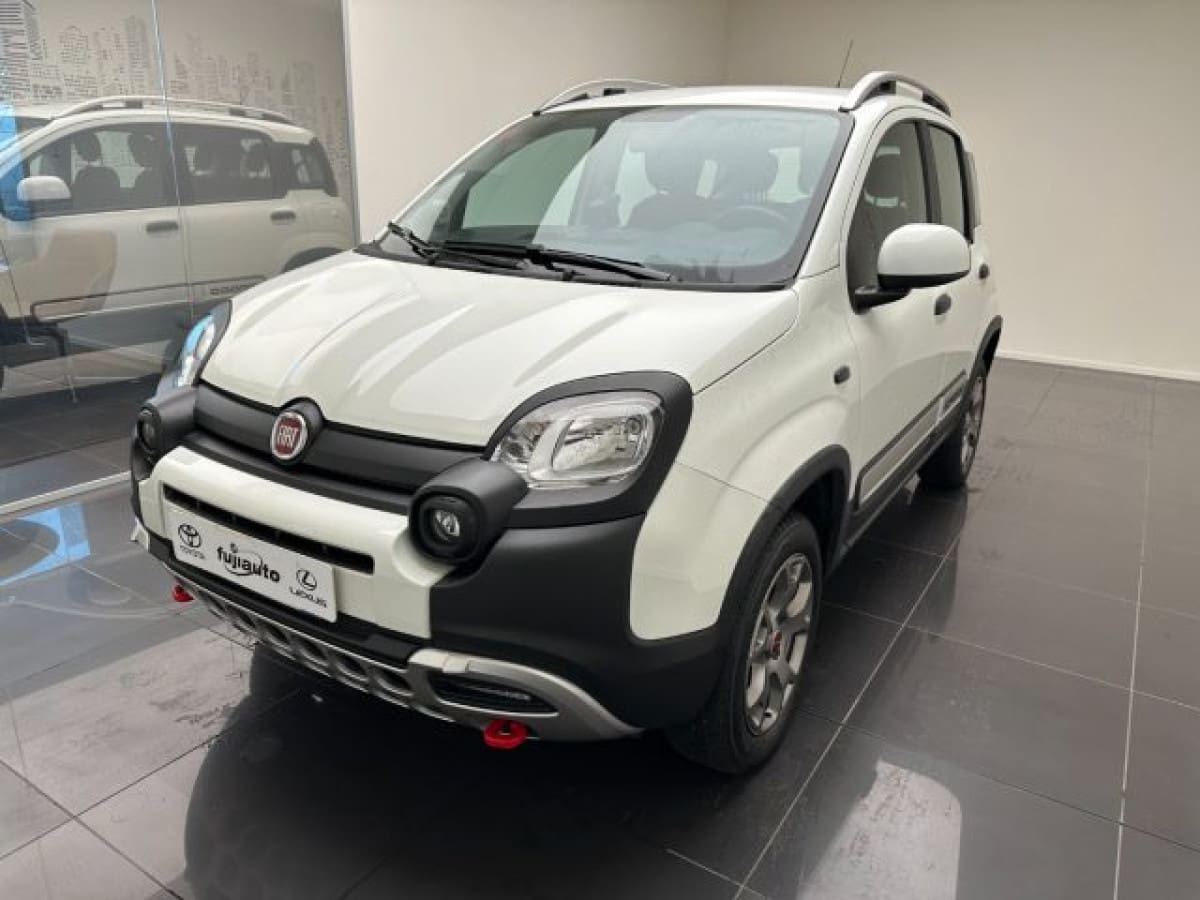 FIAT Panda Cross Usata prezzo e caratteristiche tecniche - Auto Usate