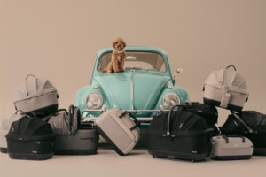 KGM Torres EVT, il pick-up elettrico è disponibile in Italia: prezzi e ...